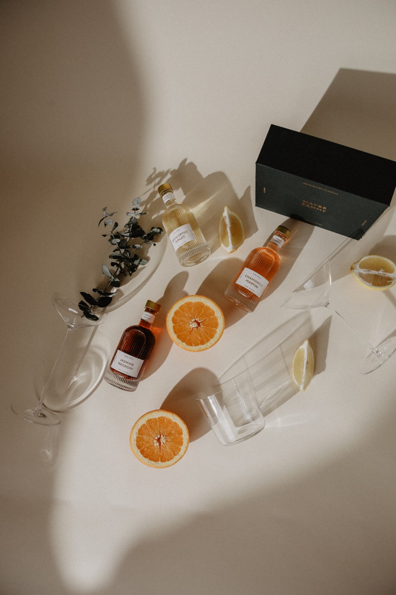 Maybe Sammy Cocktail Masterclass – Essential Solutions